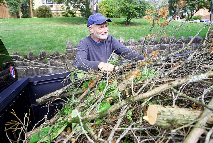 Branching out | News, Sports, Jobs - Altoona Mirror